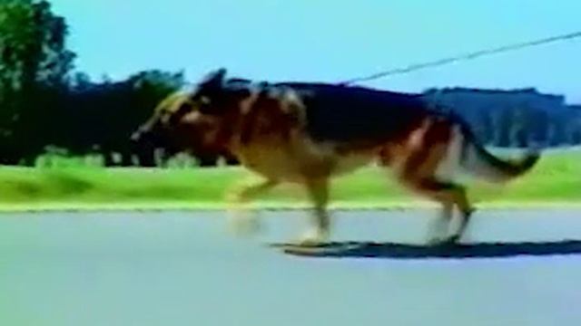 Уран ф. Вильдштайгер Ланд, движения