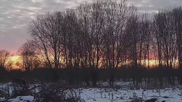 Архив. 21.02.25 г. Спонтанная поездка ❤️ как найти теперь свой любимый цвет!_