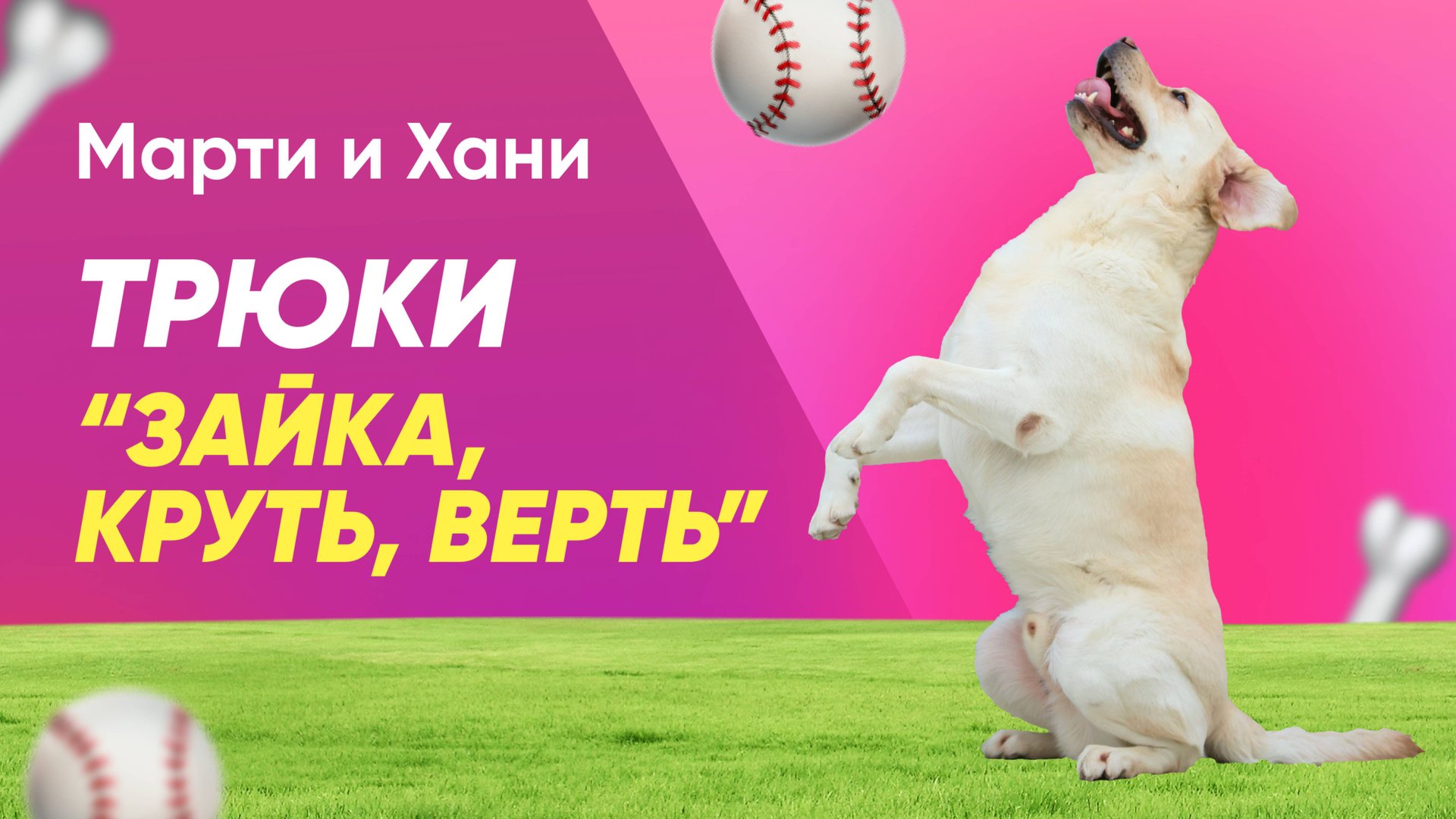 КАК НАУЧИТЬ СОБАКУ ТРЮКОВОЙ КОМАНДЕ "ЗАЙКА", "КРУТЬ И ВЕРТЬ"? / ТУТОР ОТ МАРТИ И ХАНИ