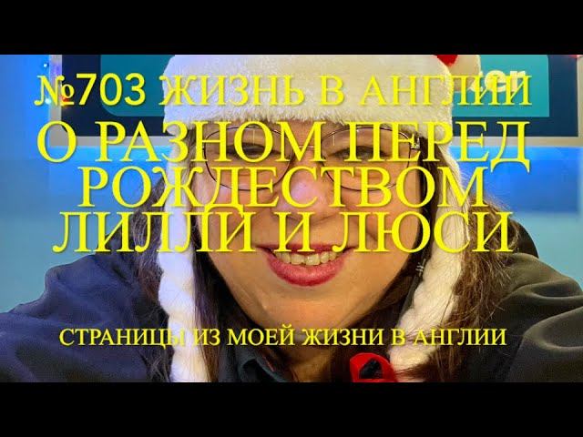 О разном перед Рождеством. Люси и Лилли - наши чихуахуа. №703 Жизнь в Англии