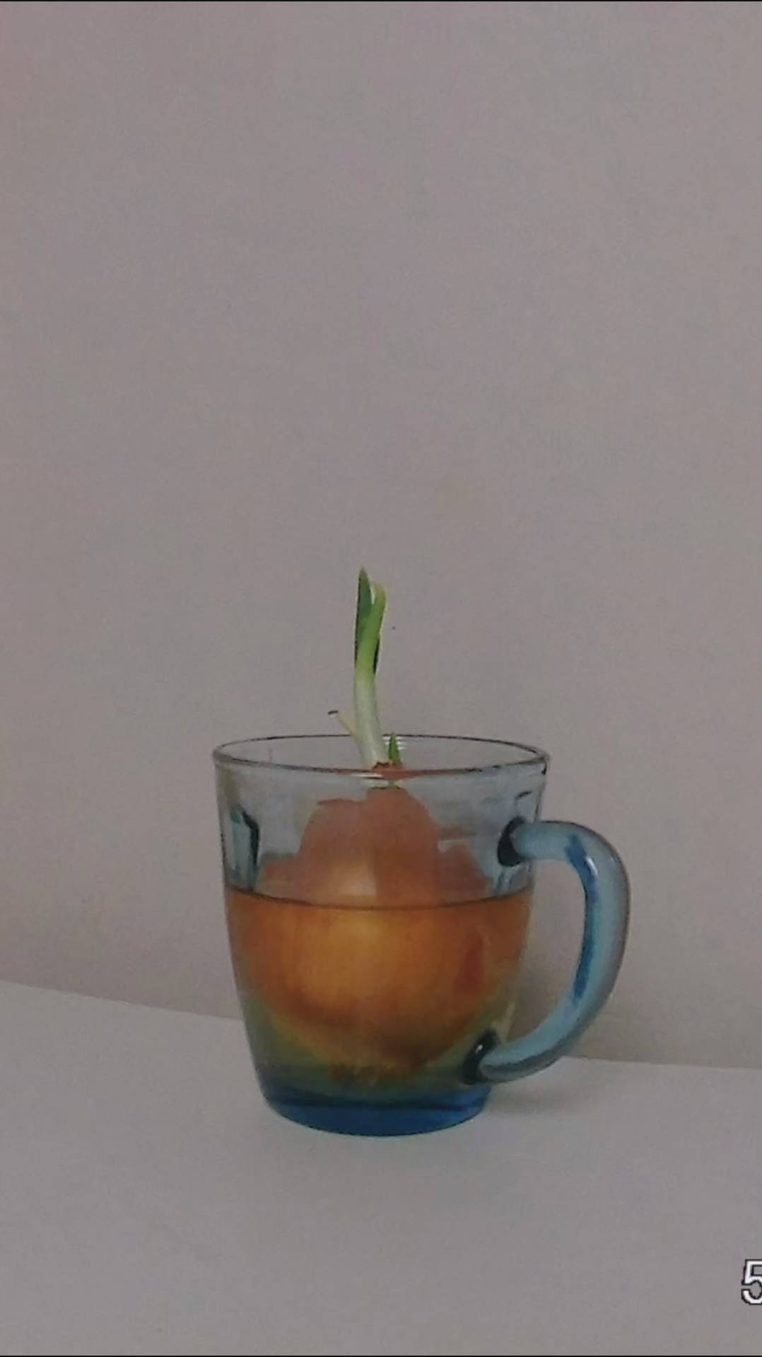 Как вам мой лук? 3х недельная съёмка, 1 кадр в 10 мин.