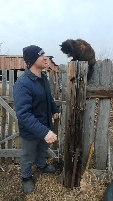 Разговор с моей собакой😆😆👀