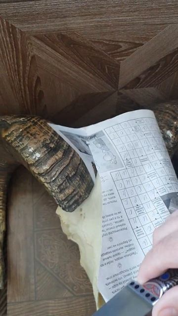 Тест_на_газете_пчака_усто_Зухруддина_p4aki_ru