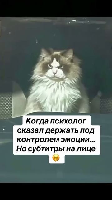 Держите эмоции под контролем