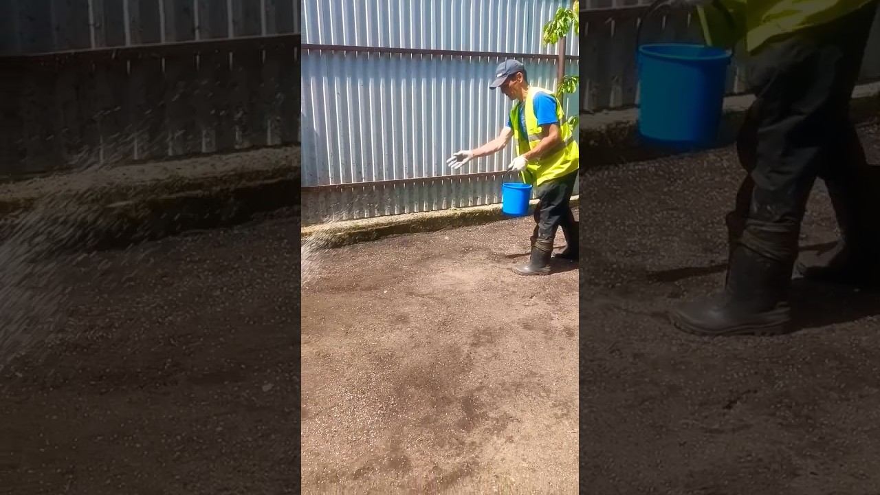 Культивация, распространение грунта, посев газона на 3.5 сотках за 3 дня.