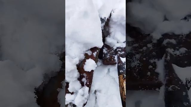 Спасение Бобика. #зима #хлопотывмоемселе #бобиказасыпалоснегом#оттепель #моясобака