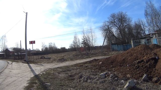 Смелый лисенок вышел к дороге