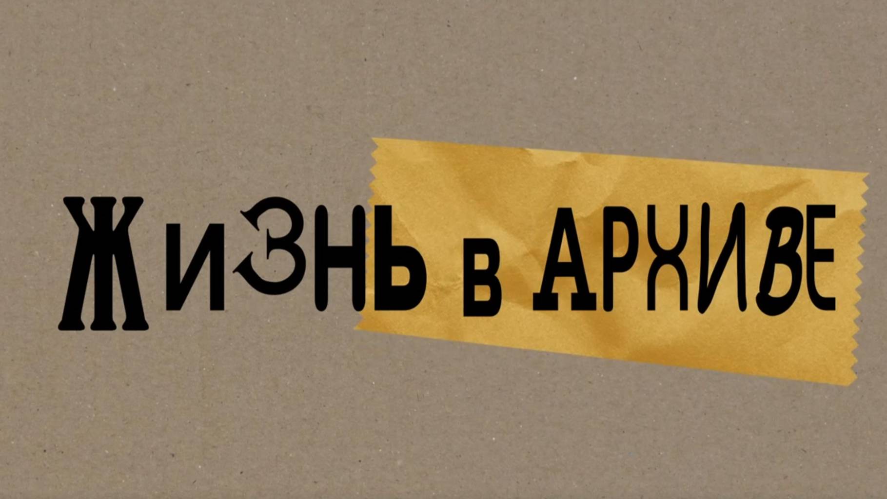 Профессия – историк | Архивист