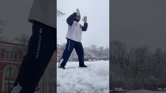 Ицюань (1343 день) Туйтуо и Сиуси Чжуан / Туйтуо Шили / Чжанфа - метод открытой ладони (15.04.25)