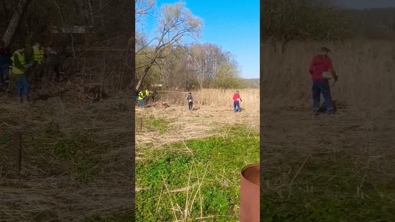 Расчистка участка. Покос травы, спил мелколесья. #стройка #благоустройствоучастка