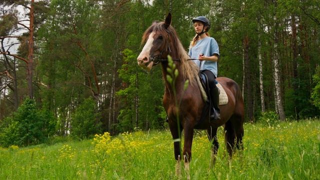 Лагерь "Робин Гуд"| Смотри, Реклама