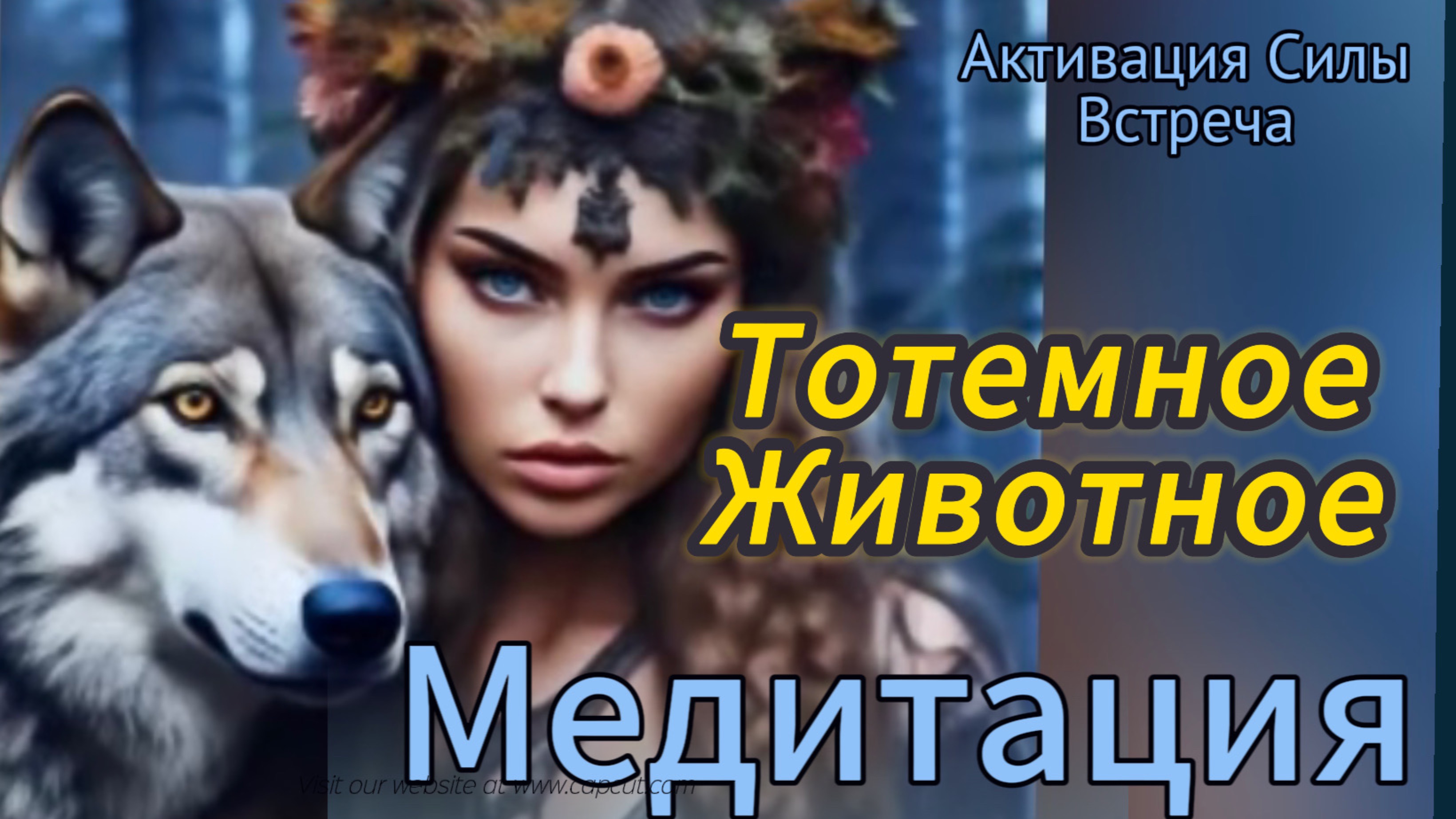 Твой Тотем, медитация , активация Силы