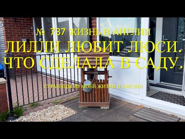 Лилли любит Люси. Что я сделала в саду и другое. № 737 Жизнь в Англии