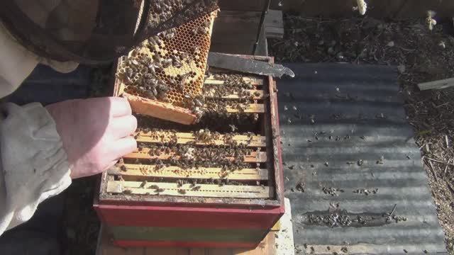 Весенняя ревизия. (Сюжет11)   15 .04.25.