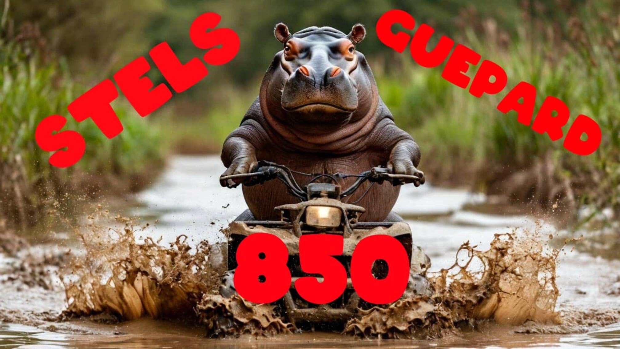 Рассказ (отзыв) владельца квадроцикла Stels Guepard 850 (Стелс Гепард 850)