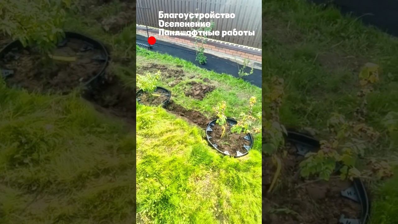 Озеленение участка, ландшафтные работы.