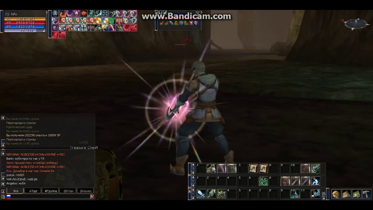 Lineage II euro-pvp x100 фан ПК