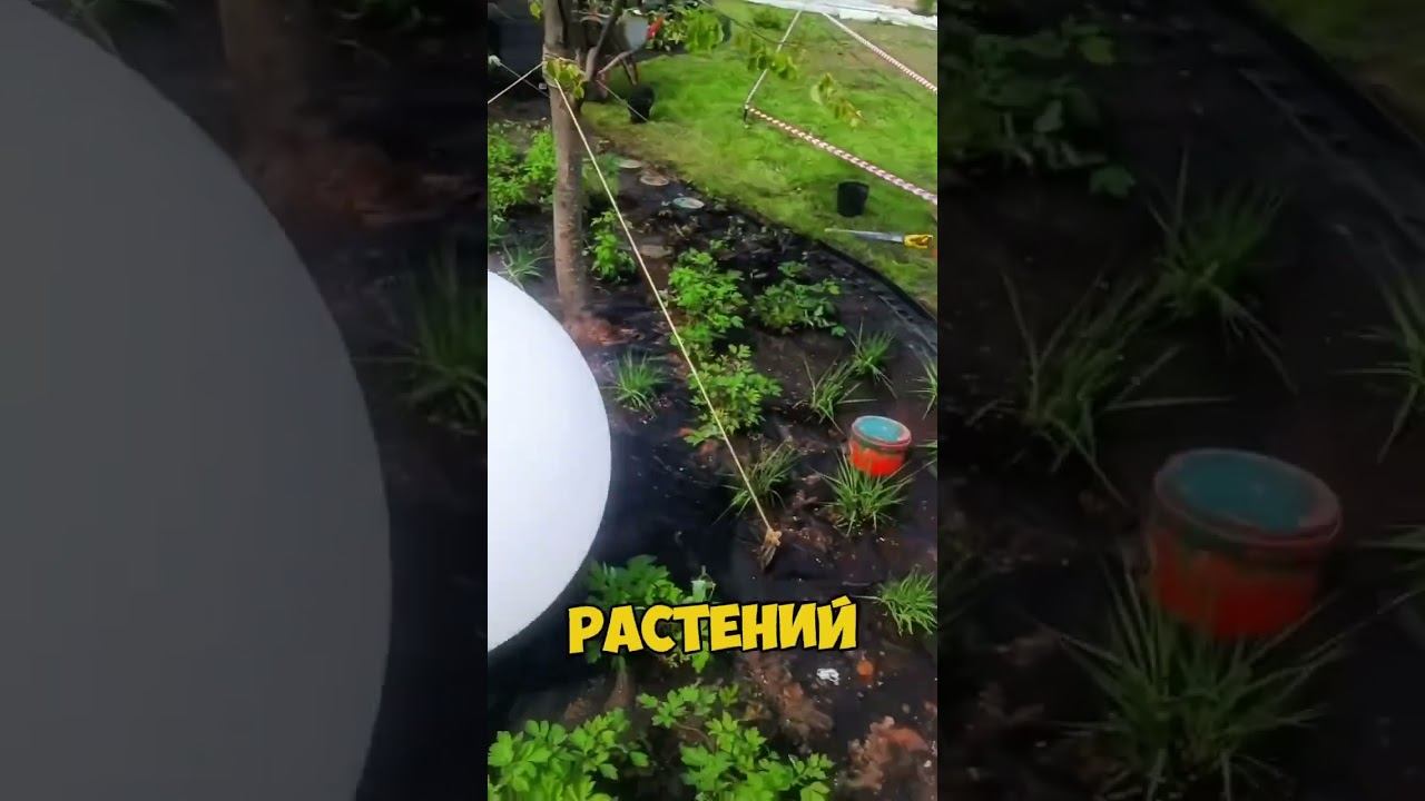 Посадки растений, мульчирование, озеленение @otlandshaftnika