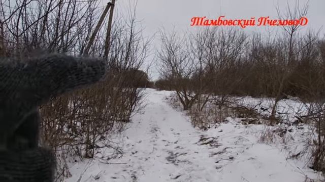 Родное село Осино Лазовка Тамбовской области.Родная улица
Заброшенные сёла