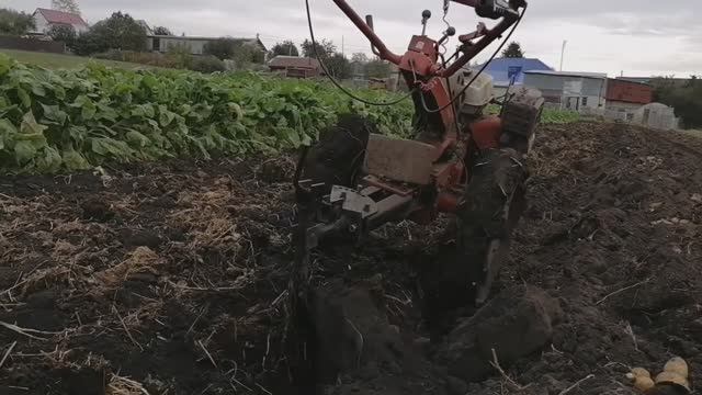 Сможете узнать на каком языке я говорю.