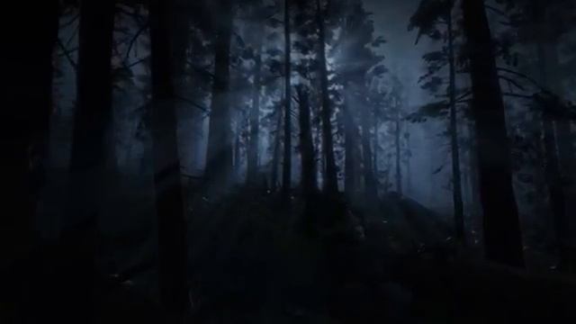 WEREWOLF AMBIENCE