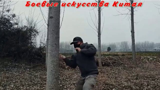 ВидеоМонтаж (боевые искусства)