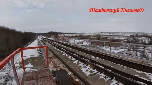 Село Осино Лазовка и село Солонцовка Тамбовской области