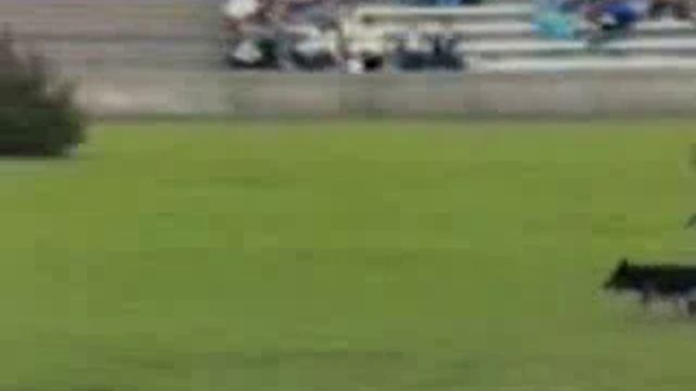 Gildo Korbelbach bsp 1987 C 90