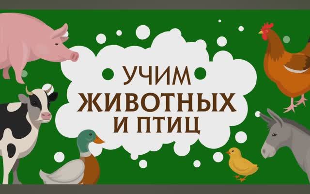 Изучаем Животных и Птиц. Карточки Домана для детей. Глобальное чтение. Учимся говорить.