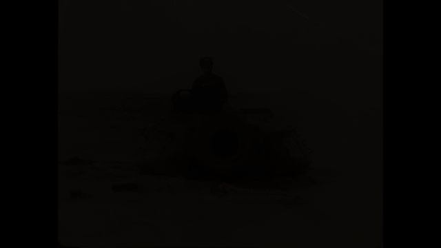 Часть 39. ГОЛУБЧИК.