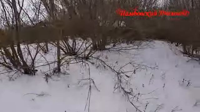 Село Осино Лазовка Тамбовской области Родина моя ,