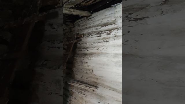 Привезли лиственницу, начали разбирать сараи и т.д. 8 часть