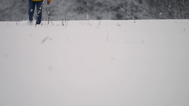 Снег в апреле