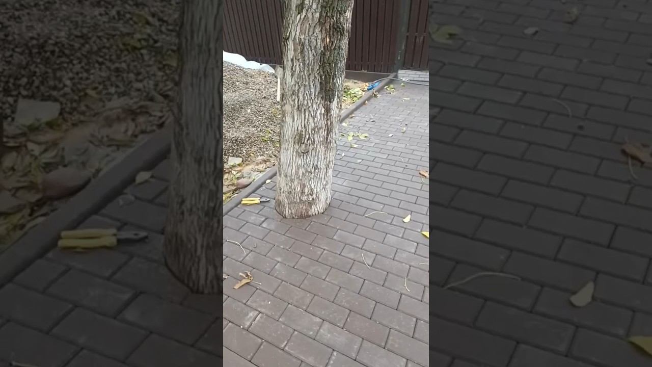 Мощение плитки ра участке.