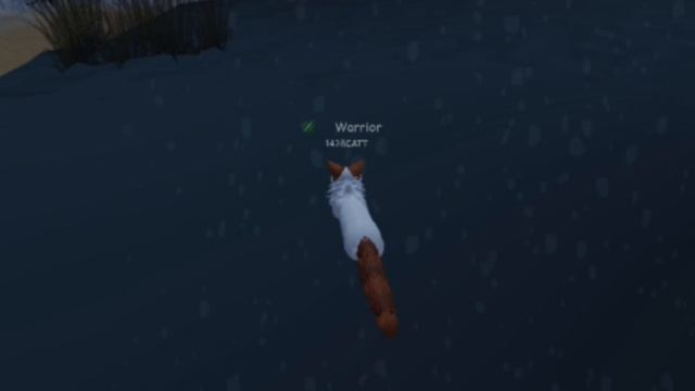 одинокий воин ветра