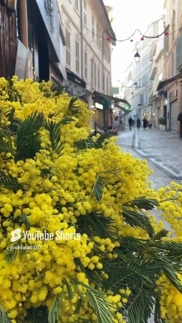 Жизнь - это цветы!