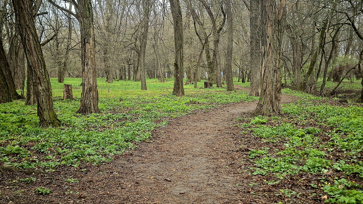 Оксана Почепа — Те, кто меня (Histrionic Remix) (Прогулка)