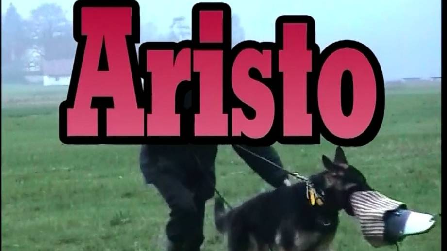 Aristo занятие 08