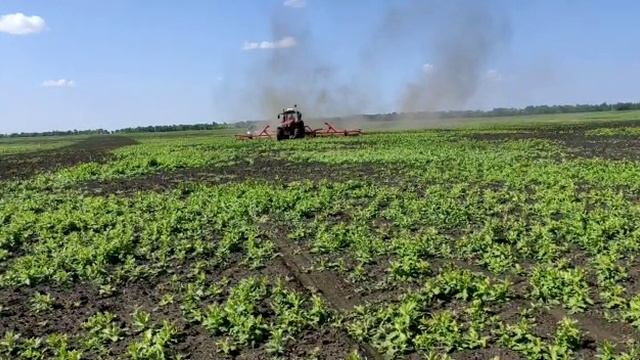 Борона ТехСпецКомплект БШГ-12-2, в работе