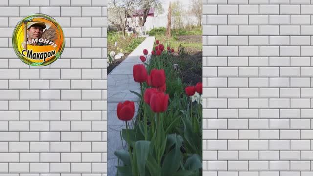 2 часть. Как залить садовую  дорожку .Показываю и рассказываю. Заливал несколько вечеров