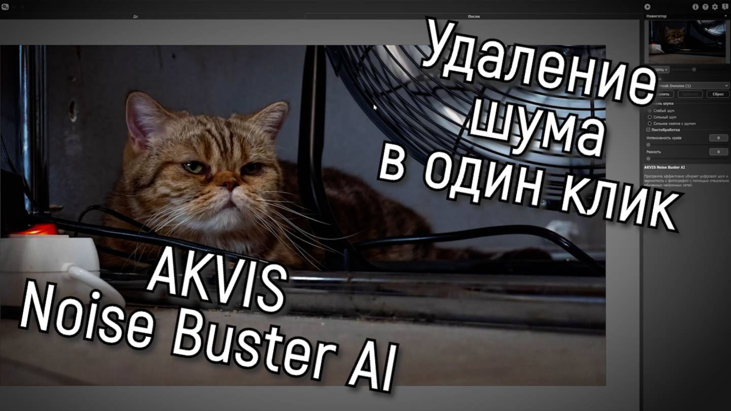 Убираем шум с фото с помощью AKVIS Noise Buster AI