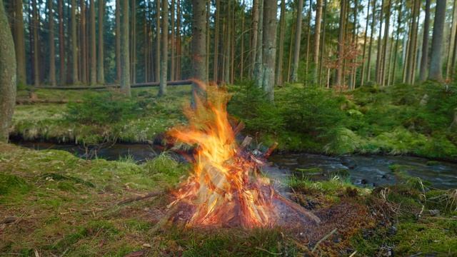 📺 Лесной костер у ручья 🔥Расслабляющие звуки чистой природы