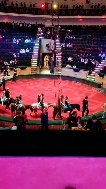 Лошадки в минском цирке Белорусский государственный цирк