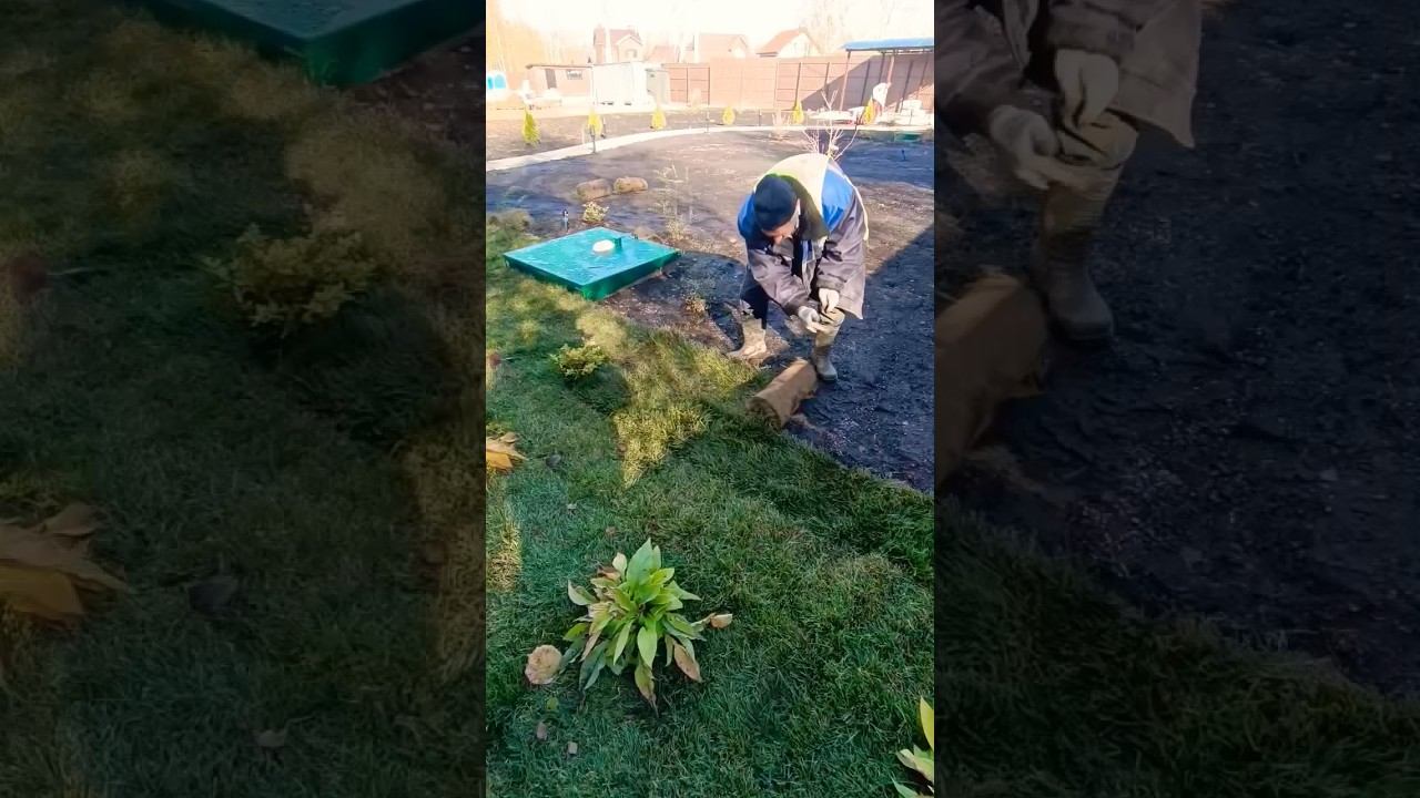 Укладка рулонного газона