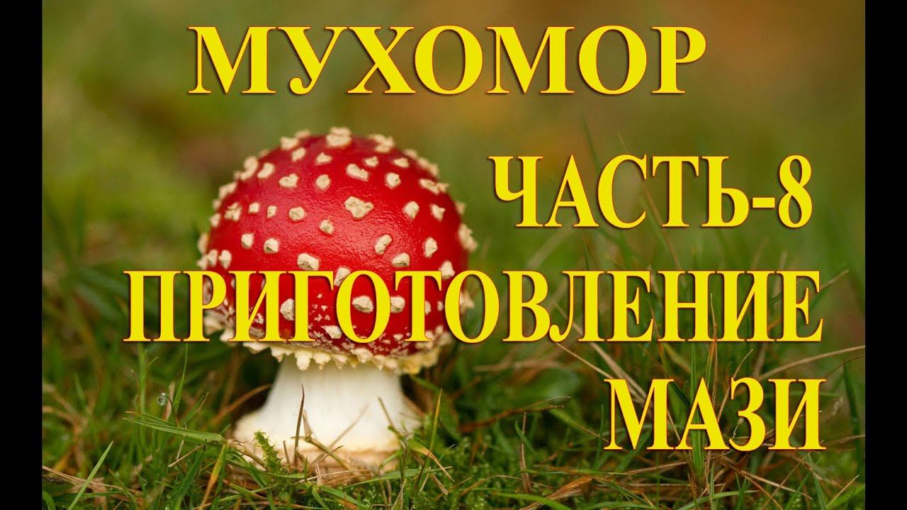 Мухомор. Часть 8. Приготовление мази.