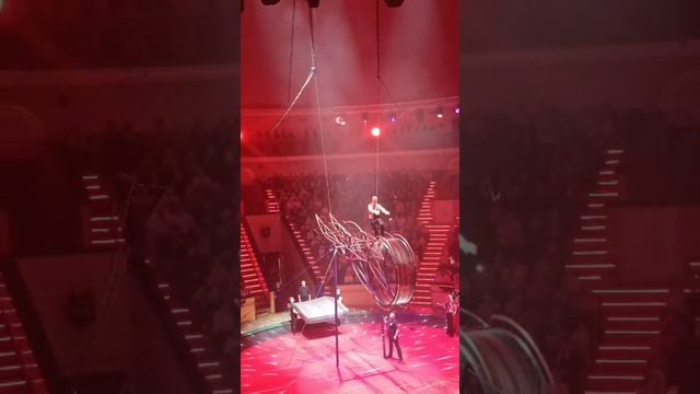 Белорусский государственный цирк Опасный номер