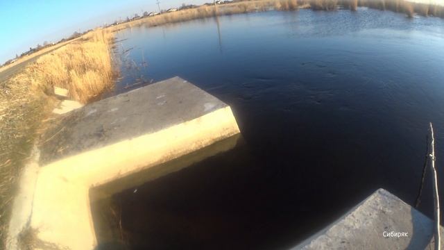 Пробная рыбалка весной на дамбе подъёмником ( пауком)