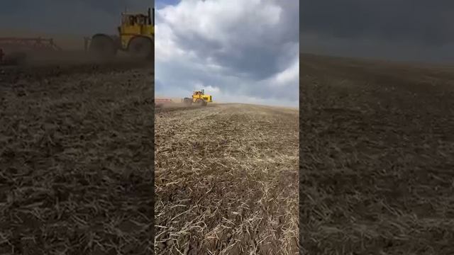 Борона ТехСпецКомплект БШГ-12-4, в работе