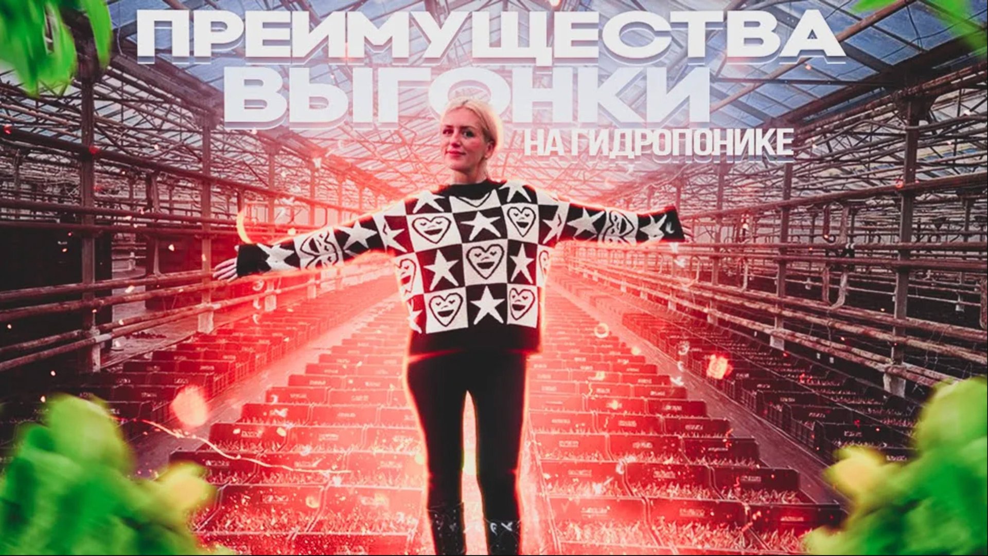 Преимущества выгонки на гидропонике