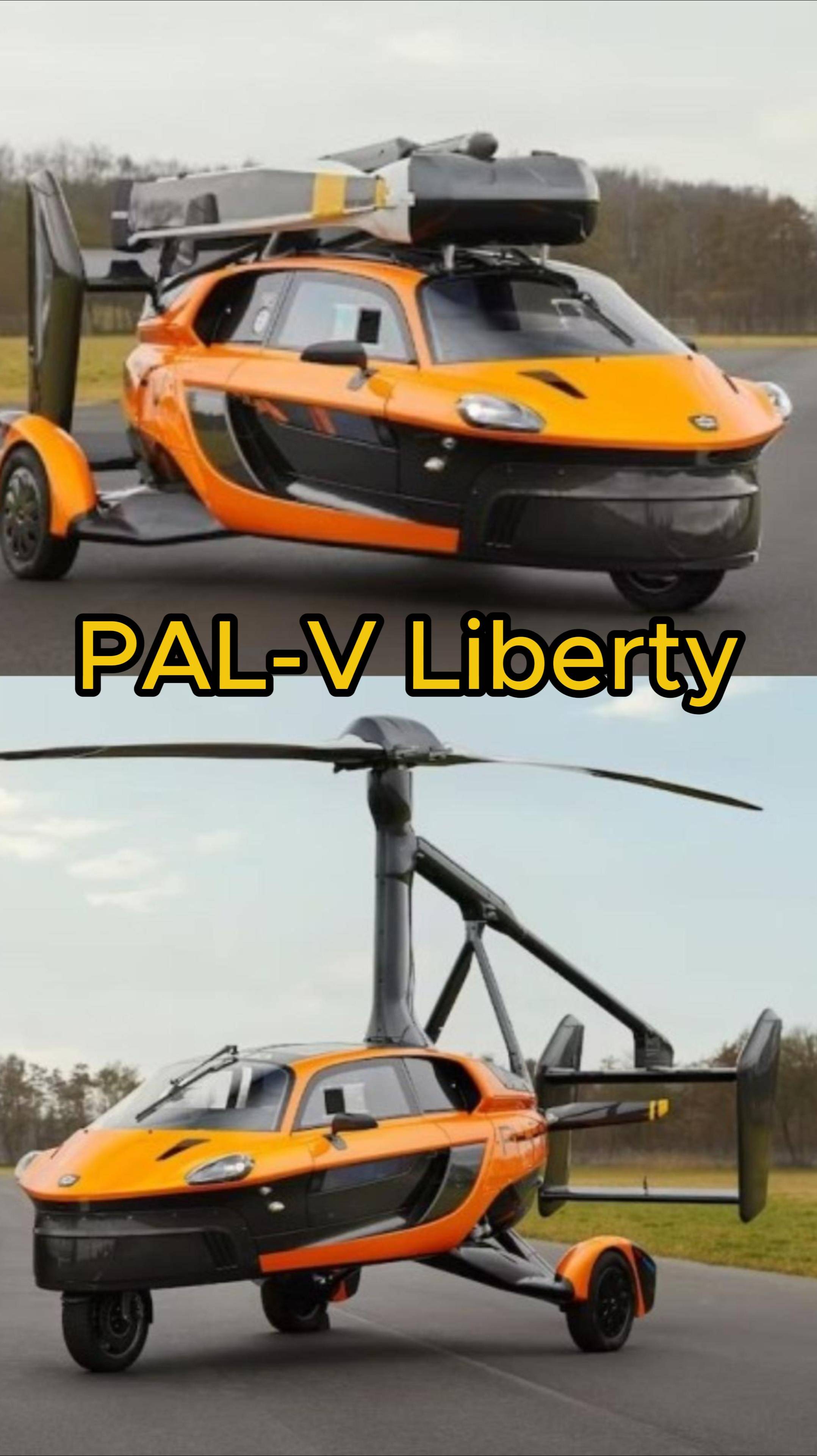 Гибридный  летающий автомобиль Pal-V Liberty.